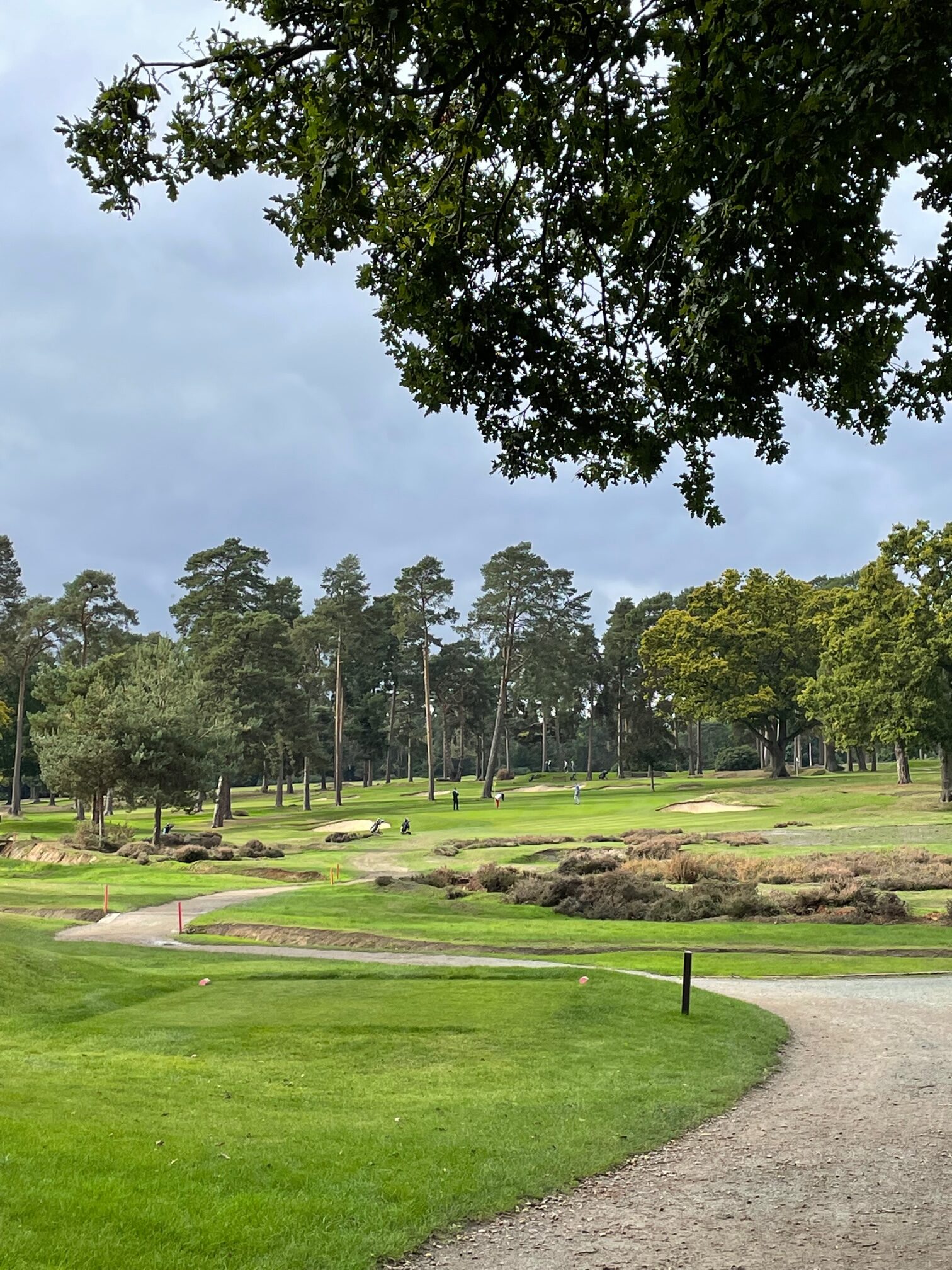 2022 Doctors Club Golf Day | The Doctors Club